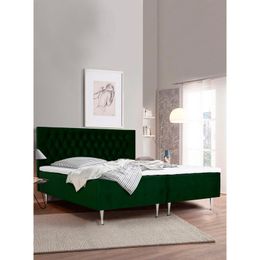 Home Affaire Boxspringbett &raquo;Exclusive&laquo; inkl. Topper, 3 Breiten, 3 H&auml;rtegrad-Ausf&uuml;hrungen gr&uuml;n Samtoptik (100% Polyester) Samtoptik, Liegefl&auml;che B/L: 