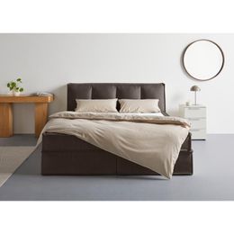 LeGer Home by Lena Gercke Boxspringbett &raquo;Addyson&laquo; H&auml;rtegrade H2, H3 und H4 w&auml;hlbar, Boxspringbett inkl. Topper, 2 Matratzen braun 100% Polyester 