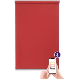 SUNLINES Elektrisches Rollo &raquo;Miami&laquo; Lichtschutz Sichtschutz mit Bohren freih&auml;ngend appgesteuert via Bluetooth, mit Motor & Akku, silberfarbener 