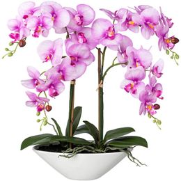 Creativ green Kunstorchidee &raquo;Deko-Orchidee Phalaenopsis in Keramikschale&laquo; lila Obermaterial: 95% Polyethylen, 5% Polyester B/H/L: 35cm x 53cm, 1 Stk.