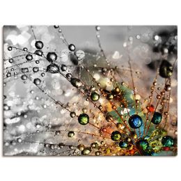 Artland Wandbild &raquo;Farbenfrohe Natur&laquo; Blumen 1 Stk. tlg. als Alubild, Leinwandbild, Poster in verschied. Gr&ouml;&szlig;en bunt B/H/T: 60cm x 45cm, Leinwandbild Blumen 