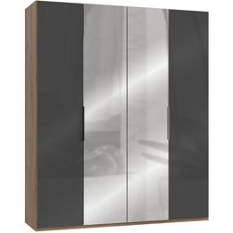wimex Kleiderschrank &raquo;Level by fresh to go&laquo; mit Glas- und Spiegelt&uuml;ren grau B/H/T: 200cm x 236cm x 58cm, T&uuml;ren: 4 Stk.