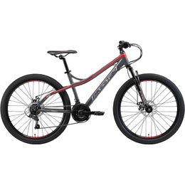 Bikestar Mountainbike 21 Gang Shimano RD-TY300 Schaltwerk Kettenschaltung f&uuml;r Damen und Herren, Kettenschaltung grau 41cm, 26 Zoll (66,04cm) Mountainbike
