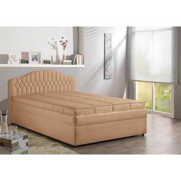 Maintal Polsterbett braun Liegefl&auml;che L&auml;nge B: 200cm x 140cm,mit Fleckschutz, Tonnentaschen-Federkernmatratze H2