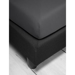 Irisette Spannbettlaken &raquo;Jupiter 8&laquo; aus Baumwolle, f&uuml;r Matratzen bis 25 cm H&ouml;he, Bettlaken, Spannbetttuch grau Mako-Jersey, Obermaterial: 100% Baumwolle B/L: 