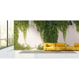 Livingwalls living walls Fototapete &raquo;Fototapete Efeu&laquo; gemustert matt neutral glatt Efeuwand, Pflanzen Tapeten Wohnzimmer Schlafzimmer K&uuml;che modern Design gr&uuml;n 