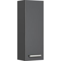 H&auml;ngeschrank &raquo;Quickset Wand-Badschrank 25 cm breit mit 1 T&uuml;r und 2 Einlegeb&ouml;den&laquo; Badezimmer-H&auml;ngeschrank inkl. T&uuml;rd&auml;mpfer, Griffe in Chrom Glanz grau 
