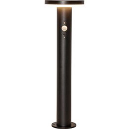 Parforce Traditional Hunting LED Solarleuchte &raquo;Solar-Wegleuchte Valletta&laquo; LED-Board 1 Stk. Warmwei&szlig; 3 Lichtmodi, PIR-aktivierte 800 lm, stetig mit 60 lm, D&auml;mmerungssensor schwarz 
