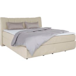 Home Affaire Boxspringbett &raquo;Oc&eacute;ane&laquo; Bodenfrei- wirkt freischwebend, verschiedene H&auml;rtegrade (auch H4) rosa Polyester Velour VELVET Polyester Topper 