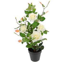 I.GE.A. Kunstbaum &raquo;Rosenbusch im Topf&laquo; Kunstrosen Kunstpflanzen Rosenstrauch Deko Hochzeit wei&szlig; Obermaterial: 95% Polyester, 5% Kunststoff B/H/L: 27cm
