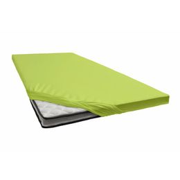 Janine Spannbettlaken &raquo;TOPPER 5001&laquo; mit Rundumgummizug gr&uuml;n Jersey-Elasthan, Obermaterial: 95% Baumwolle, 5% Elasthan 1 Stk., Jersey-Elasthan, 140x200 