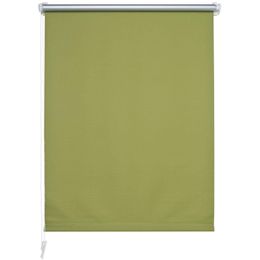 Seitenzugrollo Liedeco, B:45cm H:150cm, gr&uuml;n, Polyester, Rollos
