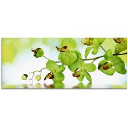 Artland Glasbild &raquo;Sch&ouml;ne Orchidee mit gr&uuml;nem Hintergrund&laquo; Blumen 1 Stk. tlg. in verschiedenen Gr&ouml;&szlig;en gr&uuml;n B/H/T: 125cm x 50cm, Glasbild Blumen, 1 Stk.
