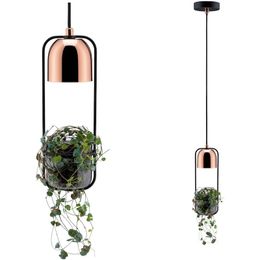 Paulmann LED Pendelleuchte &raquo;Fanja&laquo; GU10 1 Stk. GU10, 1-flammig Pflanzenleuchte Schwarz/Kupfer schwarz 1, &Oslash; 11,5cm, 1 Stk.
