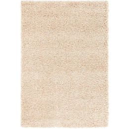 OCI DIE TEPPICHMARKE Hochflor-Teppich &raquo;LOBBY SHAGGY, auch als L&auml;ufer und in Rund&laquo; rechteckig 52 mm H&ouml;he Langflor, dichter Shaggy, robust, auch in 