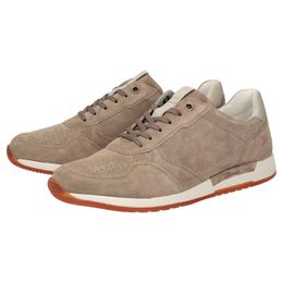 Sioux Herren Sneaker "Rojaro-718", Gr. 41, braun, Obermaterial: 100% Kalbsveloursleder CAVL. 100% Gummi rubber., Schuhe