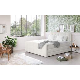 COTTA Boxspringbett &raquo;Fort mit Bettkasten, inkl. Topper&laquo; erh&auml;ltlich in verschiedenen Breiten (160cm, 180cm & 200cm) beige 100% POLYESTER (PES) 