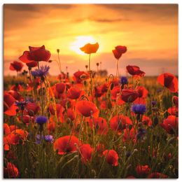 Artland Leinwandbild &raquo;Mohnblumen im Abendlicht&laquo; Blumen 1 Stk. tlg. auf Holzrahmen gespannt rot B/H/T: 70cm x 70cm, Leinwandbild Blumen quadratisch, 1 Stk.