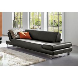 W.Schillig 3-Sitzer &raquo;taboo Designsofa mit hohem Sitzkomfort, Breite 232cm, Sitztiefe 59cm&laquo; mit Normaltiefe, inklusive Armlehnenverstellung grau 