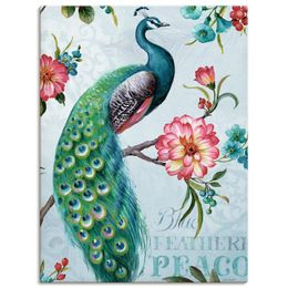 Artland Leinwandbild &raquo;Blau gepfederter Pfau&laquo; V&ouml;gel 1 Stk. tlg. auf Holzrahmen gespannt gr&uuml;n Leinwand B/H/T: 45cm x 60cm, Leinwandbild V&ouml;gel Hochformat, 1 Stk.