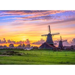 papermoon Fototapete &raquo;Dutch Windmills&laquo; glatt bunt Vlies B/L: 5m x 2,8m, Bahnen: 10 Stk.