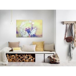 A.S. Cr&eacute;ation Leinwandbild &raquo;Dandelion&laquo; Gem&auml;lde Kunst 1 Stk. tlg. Pusteblume Keilrahmen Leinwand-Bild Wohnzimmer modern Wandbild Kinder gelb Massivholz, Stahl B/H/T: