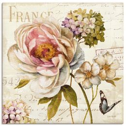 Artland Leinwandbild &raquo;Blumen III&laquo; Blumen 1 Stk. tlg. auf Holzrahmen gespannt beige Leinwand B/H/T: 70cm x 70cm, Leinwandbild Blumen quadratisch, 1 Stk.