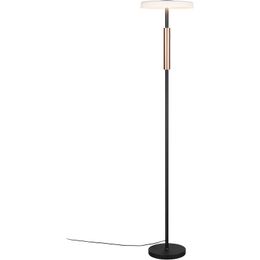 Trio Leuchten LED Stehlampe &raquo;CELESTE, LED Stehleuchte mit 4-Stufen Touchdimmer 15W warmwei&szlig; 3000K&laquo; LED-Board 1 Stk. Warmwei&szlig; 1750 Lumen H&ouml;he 160cm, 