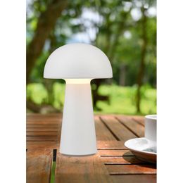 REALITY LEUCHTEN LED Au&szlig;en-Tischleuchte &raquo;Lennon&laquo; LED-Board 1 Stk. Warmwei&szlig; LED Outdoor Tischlampe,4-fach Touchdimmer, Ladefunktion per USB-C,IP44 wei&szlig;