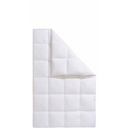 Frau Holle Daunenbettdecke &raquo;Zara, Bettdecken f&uuml;r Sommer oder Winter, hergestellt in Deutschland&laquo; warm F&uuml;llung 100% Daunen 1 Stk. tlg. Bettdecke in 135x200 cm, 