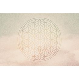 ARCHITECTS PAPER Fototapete &raquo;Atelier 47 Flower of Life 2&laquo; orientalisch glatt Vlies, Wand, Schr&auml;ge, Decke gr&uuml;n Vlies B/L: 4m x 2,7m
