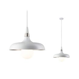 Paulmann Pendelleuchte &raquo;Juna&laquo; E27 1 Stk. E27, dimmbar 1, &Oslash; 34,2cm H: 110cm, 1 Stk.