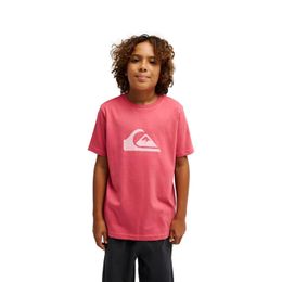 Quiksilver Jungen T-Shirt "Ev Comp Logo", pink, Gr. 16, Obermaterial: 100% Baumwolle., Shirts