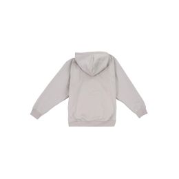 DROPSIZE Herren Sweatjacke "Dropsize Dropsize REGULAR FIT ZIP-HOODIE"flint, Gr. M, unifarben, 70% Baumwolle, 30% Polyester, Sweatjacken