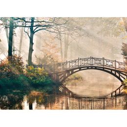 Livingwalls living walls Fototapete &raquo;Designwalls Park Bridge 1&laquo; glatt Vlies, Wand, Schr&auml;ge, Decke gr&uuml;n Vlies B/L: 3,5m x 2,55m