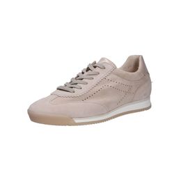 Pius Gabor Sneaker in beige | Gr.: 38