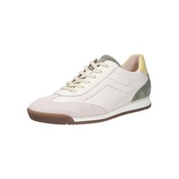 Gabor Sneaker in beige | Gr.: 35