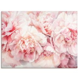 Artland Wandbild &raquo;Rosa Farbene Pfingstrosen Aquarell&laquo; Blumenbilder 1 Stk. tlg. als Alubild, Leinwandbild, Poster, Wandaufkleber in verschied. Gr&ouml;&szlig;en rosa 