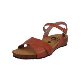 Plakton Sandalen braun | Gr.: 37