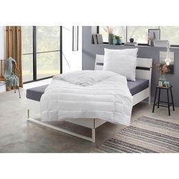 f.a.n. fan Microfaserbettdecke &raquo;Komfort Plus, Bettdecke in 135x200 cm und weitere Gr&ouml;&szlig;en erh&auml;ltlich&laquo; 4-Jahreszeiten F&uuml;llung 100% Lyocell 1 Stk. tlg. Made in 