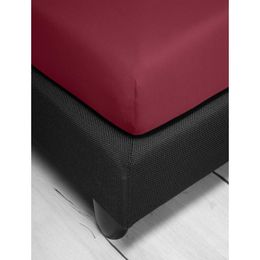 Irisette Spannbettlaken &raquo;Jupiter 8&laquo; aus Baumwolle, f&uuml;r Matratzen bis 25 cm H&ouml;he, Bettlaken, Spannbetttuch rot Mako-Jersey, Obermaterial: 100% Baumwolle B/L: 