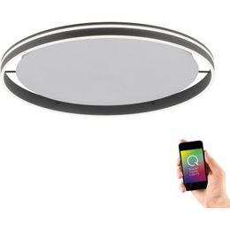 Neuhaus Q SMART HOME LIGHTS LED Deckenleuchte &raquo;Q-VITO&laquo; LED-Board 1 Stk. warmwei&szlig; - kaltwei&szlig; grau 1, &Oslash; 79,4cm, 1 Stk.