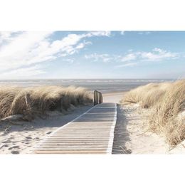 Reinders Deco-Panel &raquo;Nordsee D&uuml;nen&laquo; gr&uuml;n MDF B/H/T: 90cm x 60cm