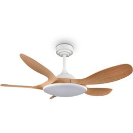 REALITY LEUCHTEN LED Deckenleuchte &raquo;FLEN mit Ventilator, gro&szlig;er Deckenventilator &Oslash; 108cm mit 24W LED CCT&laquo; LED-Board 1 Stk. Farbwechsler warmwei&szlig; - 