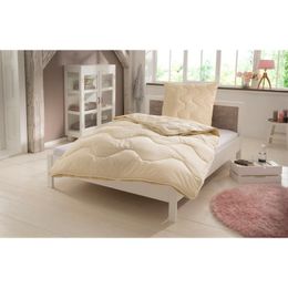 OTTO home Naturfaserbettdecke &raquo;Baumwolle 60 &deg;C, Bettdecke 135x200 cm, 155x220 cm, 200x200 cm&laquo; 4-Jahreszeiten F&uuml;llung 100% Baumwolle 1 Stk. tlg. 