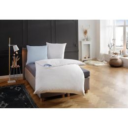 Ribeco Federbettdecke &raquo;Leon&laquo; extrawarm F&uuml;llung 100% Federn 1 Stk. tlg. Hergestellt in Deutschland wei&szlig; Bezug: 100% Baumwolle. F&uuml;llung: 100% Federn B/L