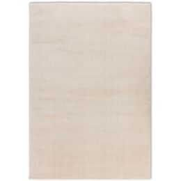 Astra Teppich &raquo;Domaso 250&laquo; rechteckig 18 mm H&ouml;he pastell Farben, weiche Haptik, uni, leichter Glanz,Wohnzimmer beige Kunstfaser B : 80cm 1 Stk., 18mm,