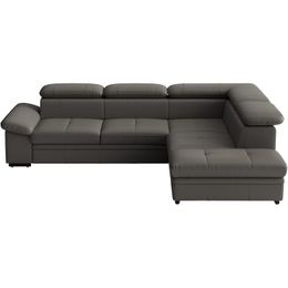 Sit & More sit&more Ecksofa &raquo;Viola, L-Form, Leder, B: 249 cm&laquo; optional mit Schlaffunktion grau B/H/T: 249cm x 73cm x 226cm, NaturLEDER , Ottomane rechts, ohne 