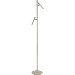 HELL h&ouml;llisch gutes Licht LED Stehlampe &raquo;STREAK&laquo; LED-Modul 1 Stk. Warmwei&szlig; Tastdimmer 2, &Oslash; 25cm H: 163cm, 1 Stk.