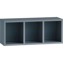 Schildmeyer Wandregal &raquo;Bjarne, Wandregal, Made in Germany, B: 60,2 cm&laquo; Solide Verarbeitung - Dieses Produkt ist in Deutschland gefertigt blau Holzwerkstoff B/H/T: